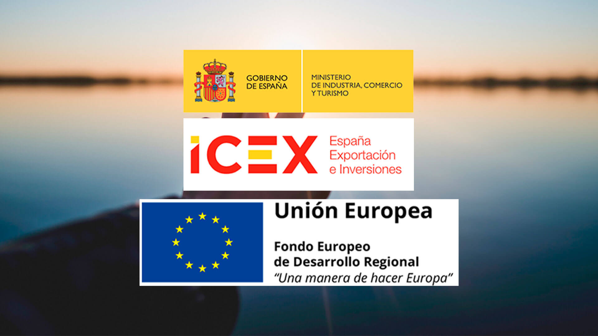 Vrio con el apoyo de ICEX y del fondo europeo FEDER
